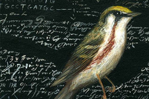 Science & Nature Writing | Kenyon College