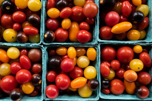 Volunteer Opportunities | Kenyon College