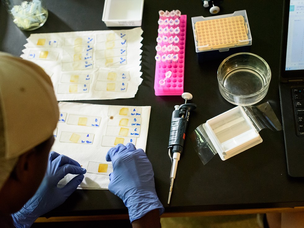 STEM Scholars Program | Kenyon College