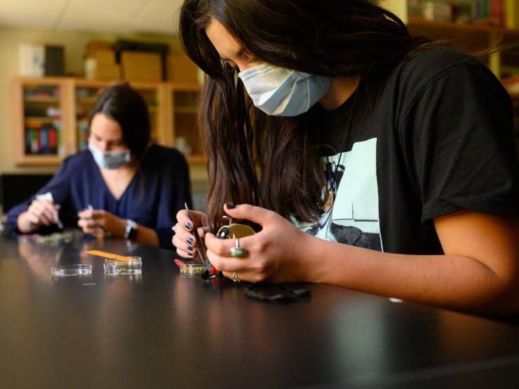 Kenyon in Pictures | Kenyon College