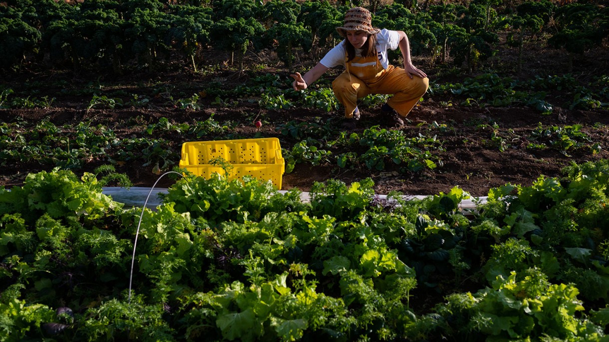 Dining on Campus | Kenyon College