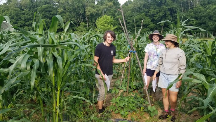 Faculty Research | Kenyon College