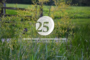 Events | Kenyon College