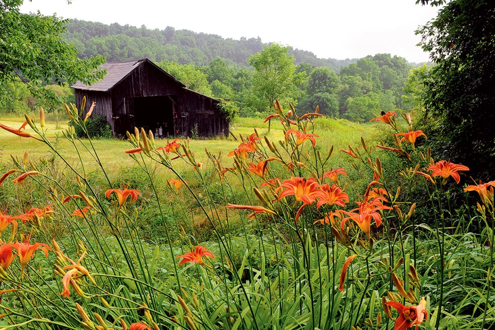 Philander Chase Conservancy | Kenyon College