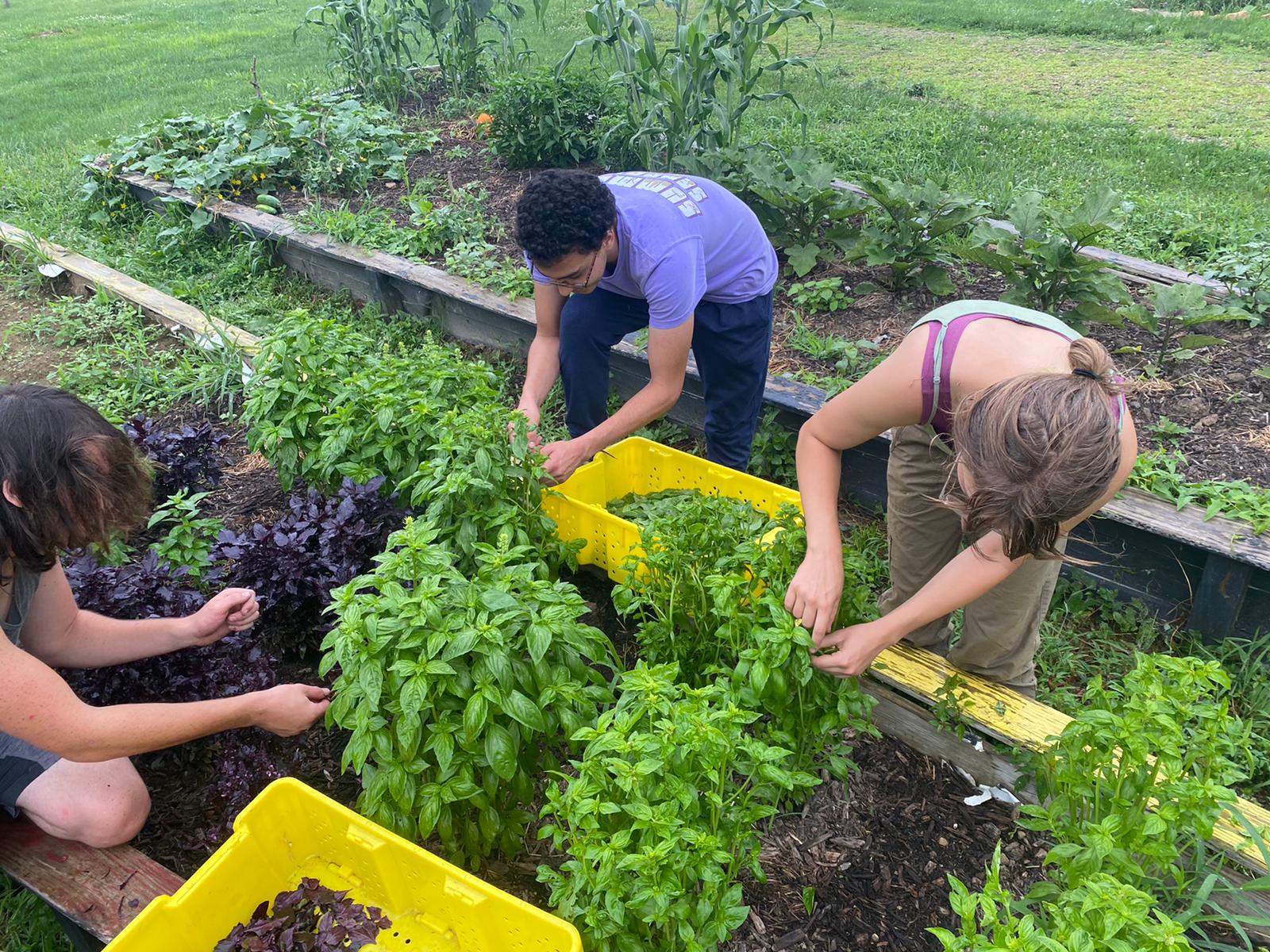 A Season of Planning | Kenyon College