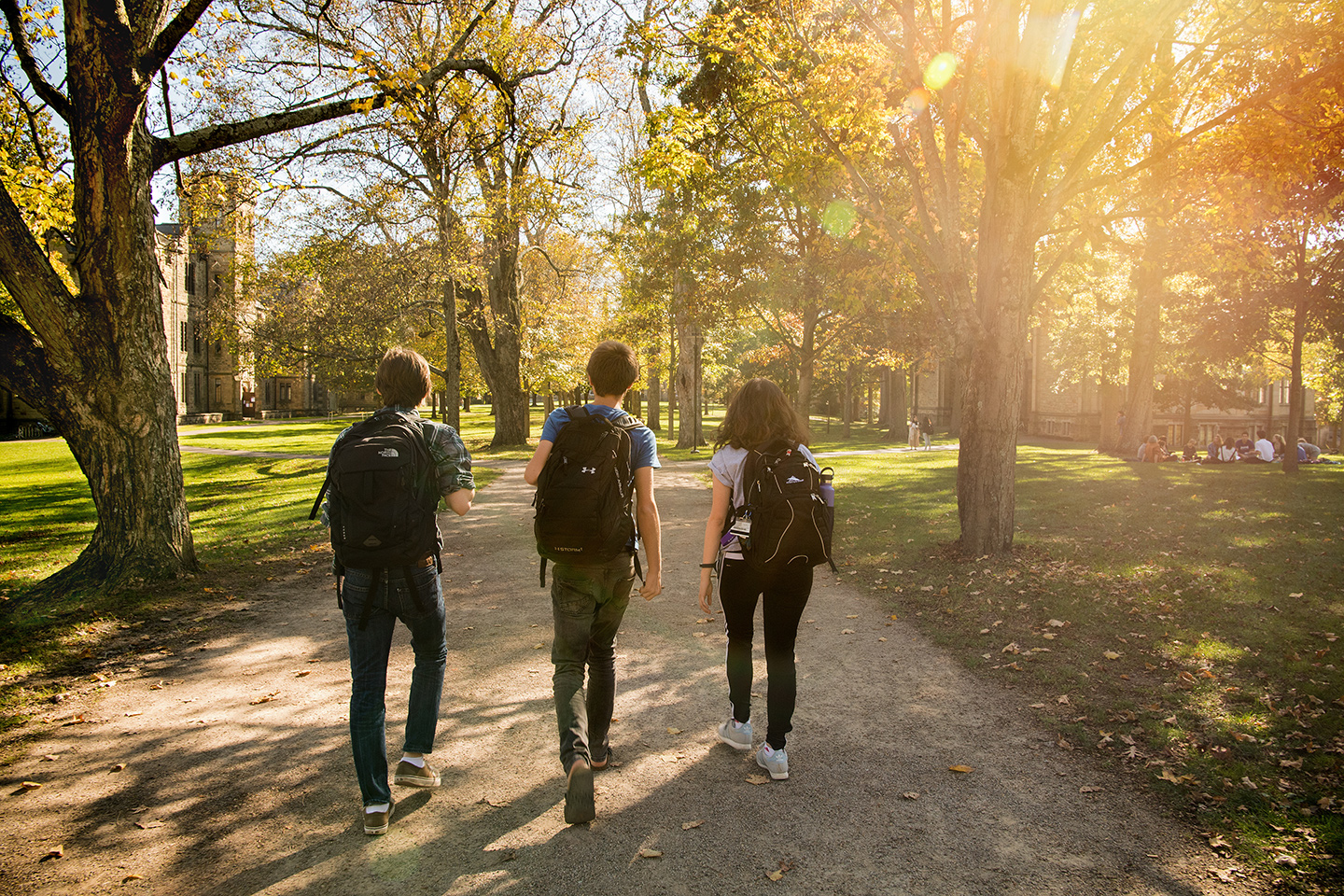 Craving Middle Path | Kenyon College