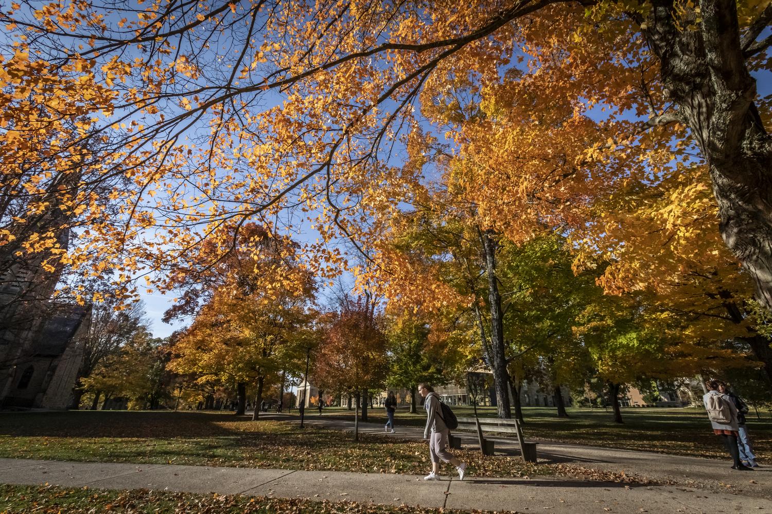 A Festival for All | Kenyon College