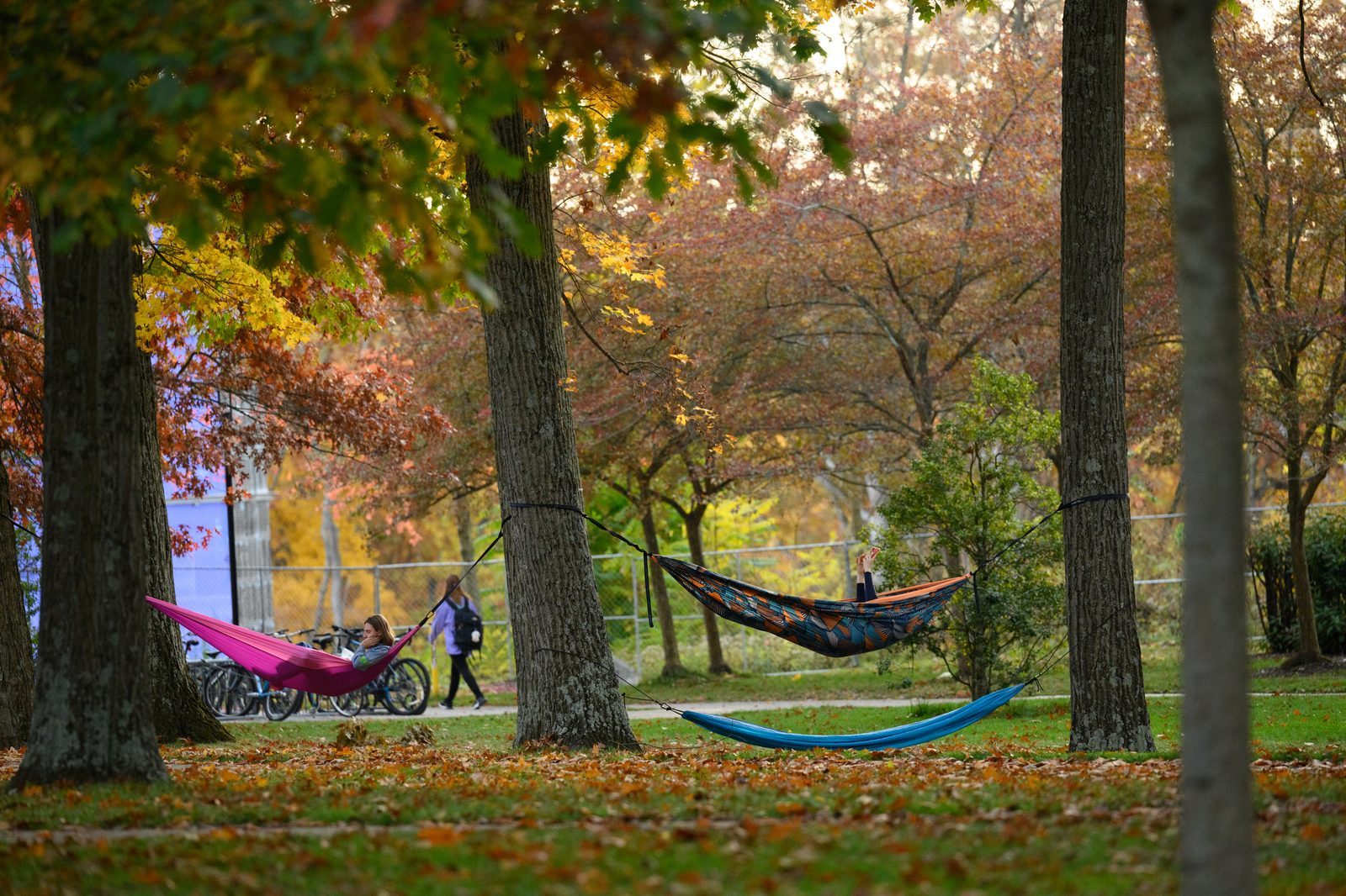 Finding Home in a Hammock | Kenyon College
