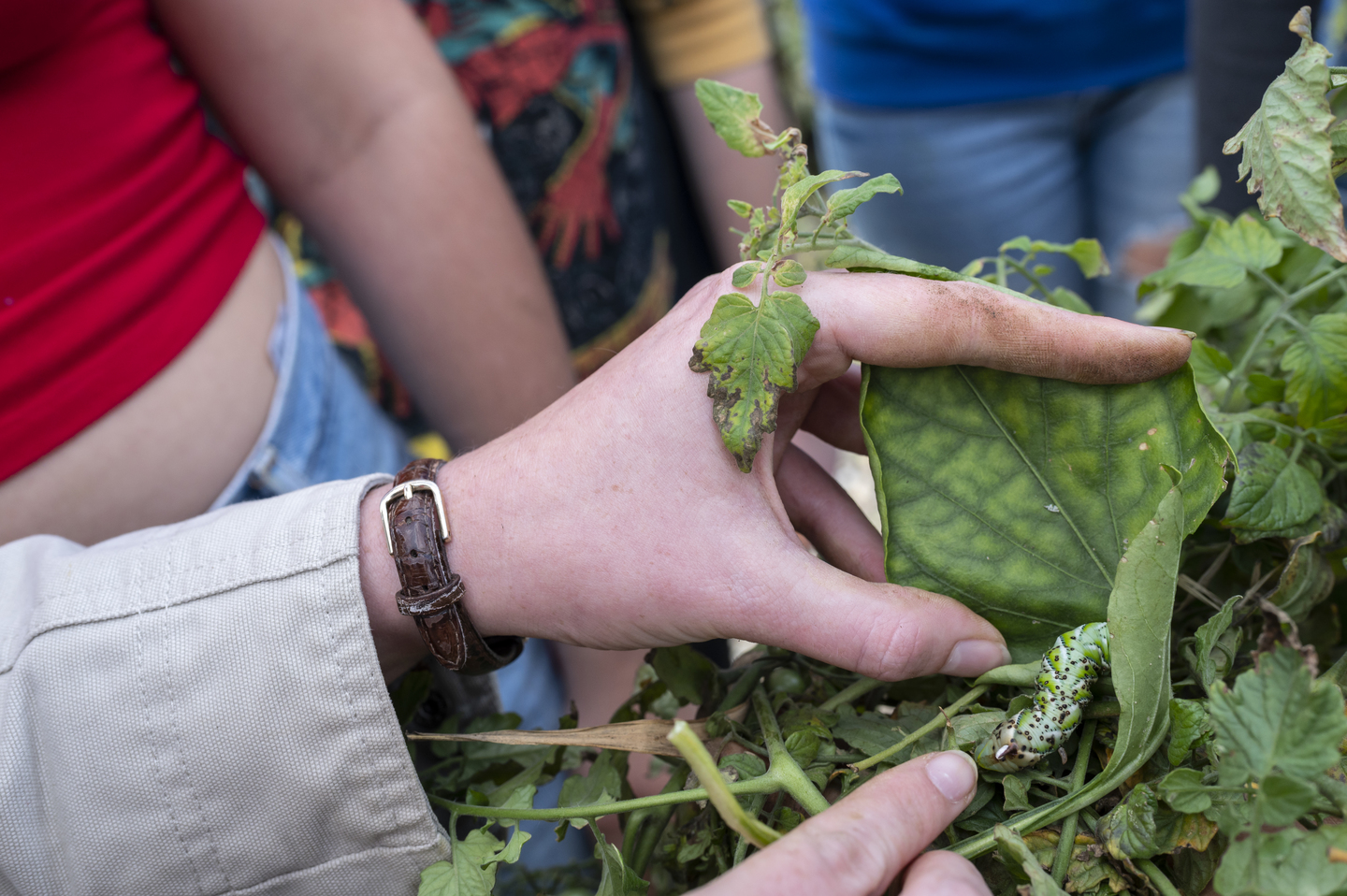 New Farm Manager to Join Kenyon | Kenyon College