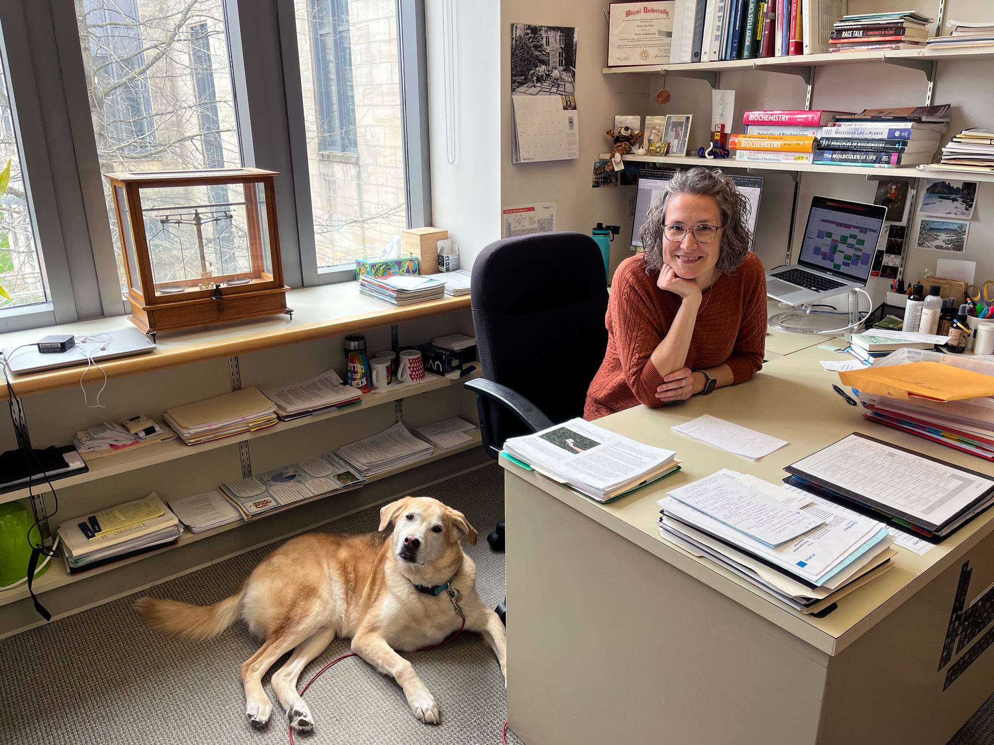 Paws Worth Applause | Kenyon College