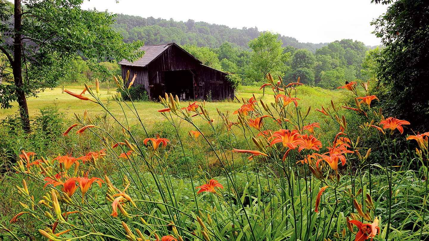 Update from Philander Chase Conservancy | Kenyon College