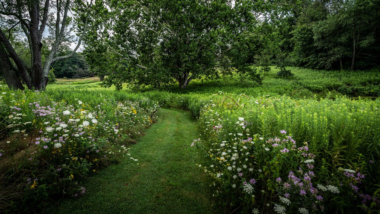 Update from the Kokosing Nature Preserve | Kenyon College