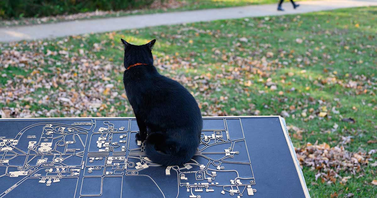 Remembering Moxie | Kenyon College