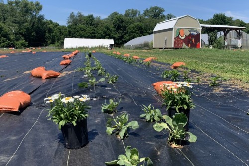 Kenyon Farm | Kenyon College